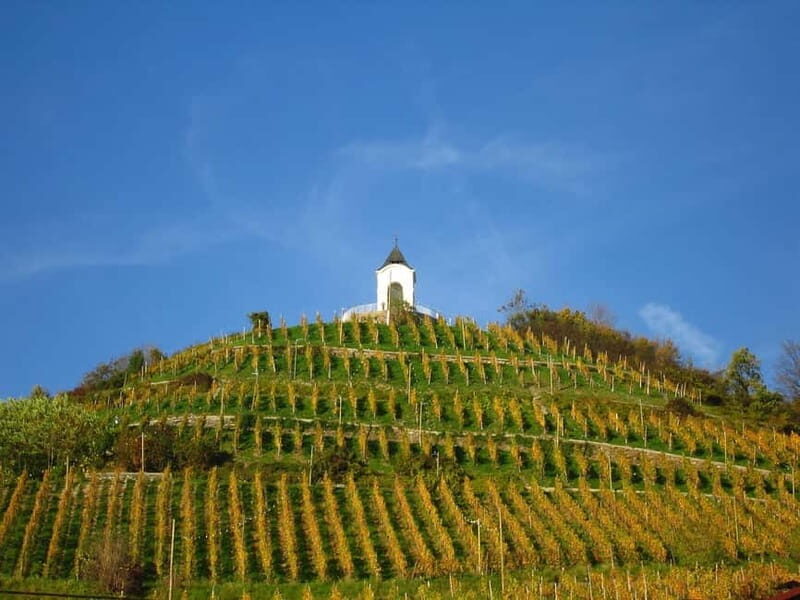 Maribor & Styria Tour with Wine Tasting - The Highlight: Wine Tasting in Slovenia’s Renowned Vineyards