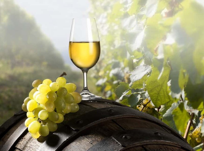 Maribor & Styria Tour with Wine Tasting - Transportation & Comfort