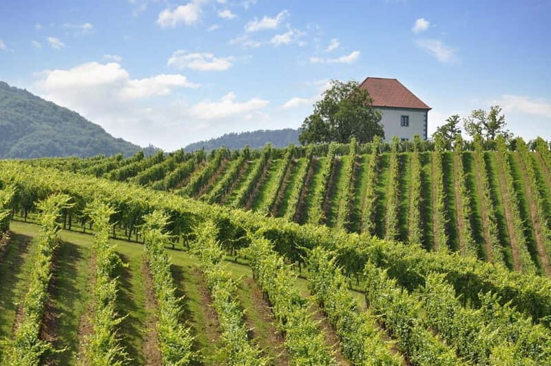 Maribor & Styria Tour with Wine Tasting - Who Will Enjoy This Tour?