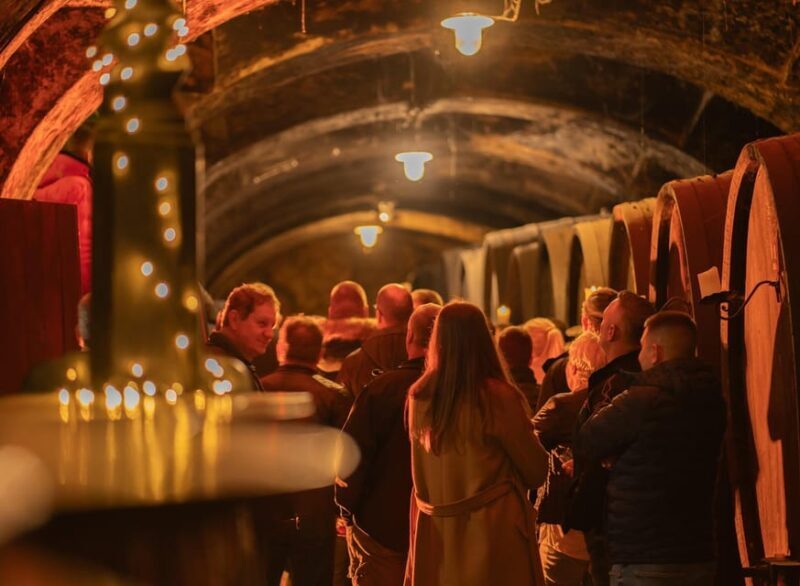 Maribor: Vinag Wine Cellar Tour with Wine tasting and snacks - The Experience Provider and Reviews