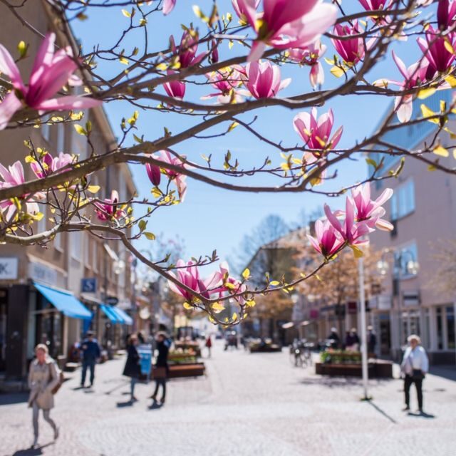 Mariehamn Private Guided Walking Tour - FAQ
