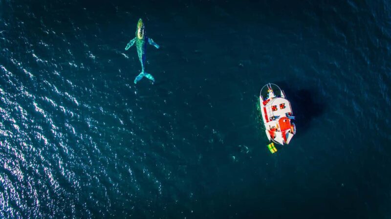 Marietas Islands Boat Tour: Snorkel, Kayak, Playa Nopalera - Who Will Love This Tour?