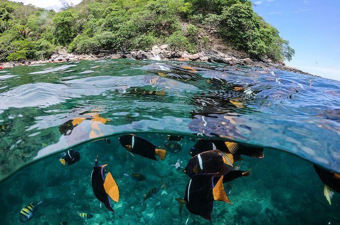 Marietas Islands Sailing Private Tour - 8 Hours of Paradise - Frequently Asked Questions (FAQs)