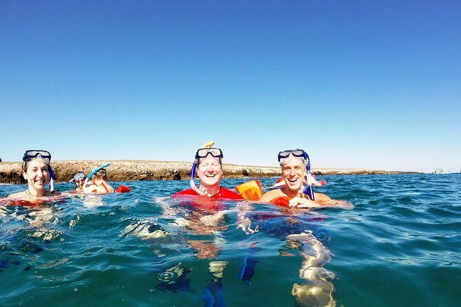 Marietas Islands snorkeling & Hidden beach (w/ restrictions) - An In-Depth Look at the Tour Experience