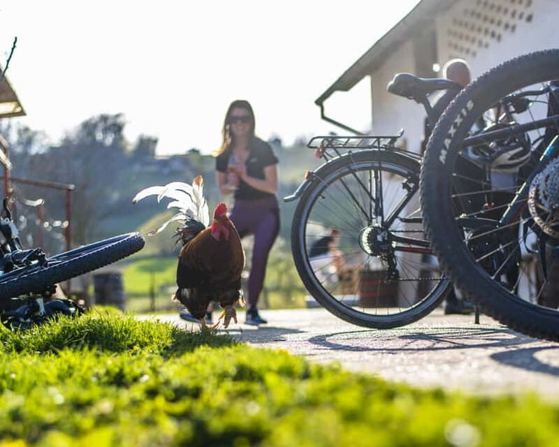 Marija Bistrica: To Gornja Stubica by Bicycle - Key Points