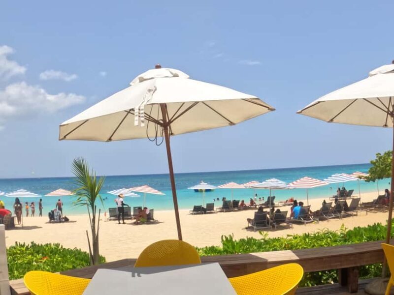 Marijuana Farm, Bamboo Rafting and Doctors Cave Beach Tour - Key Points