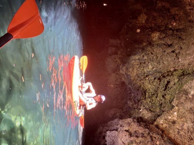 Marina de Lagos: Ponta da Piedade Kayaking Tour - An In-Depth Look at the Ponta da Piedade Kayaking Tour