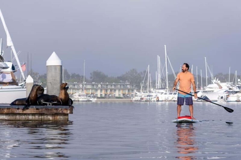 Marina del Rey: Guided Kayak & Paddleboard Tour - The Sum Up