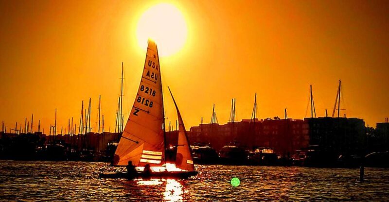 Marina Del Rey Luxury Boat Cruise Wine, Charcuterie Sealions - Final Thoughts: Who Will Appreciate This Experience?