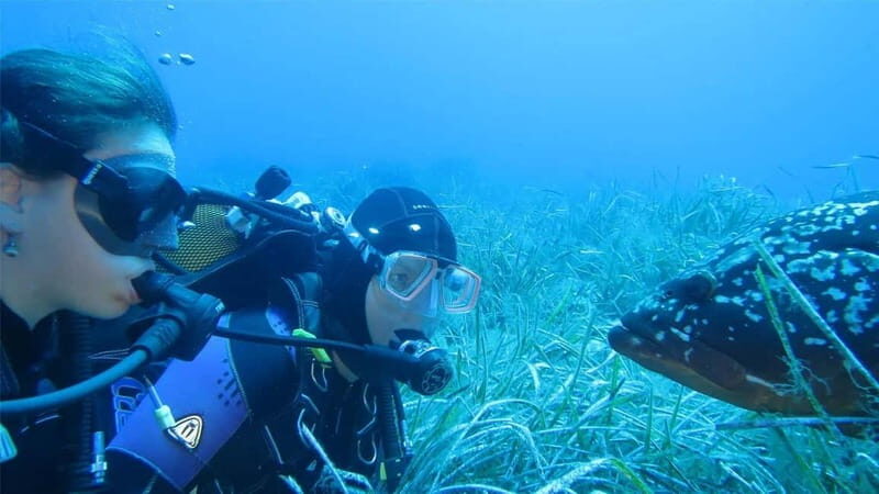 Marina di Campo: diving on the island of Elba - Authentic Feedback from Participants