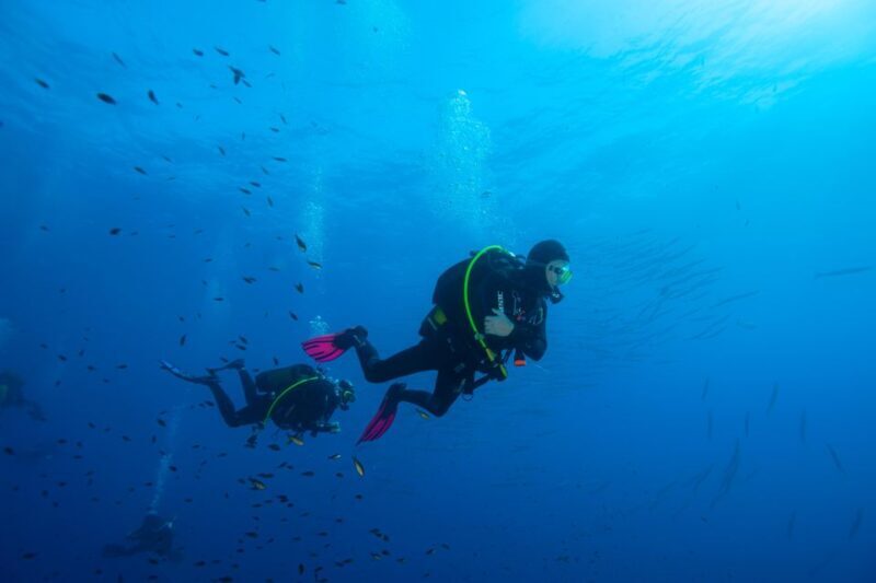 Marina di Campo: diving on the island of Elba - Who Is This Tour Best For?