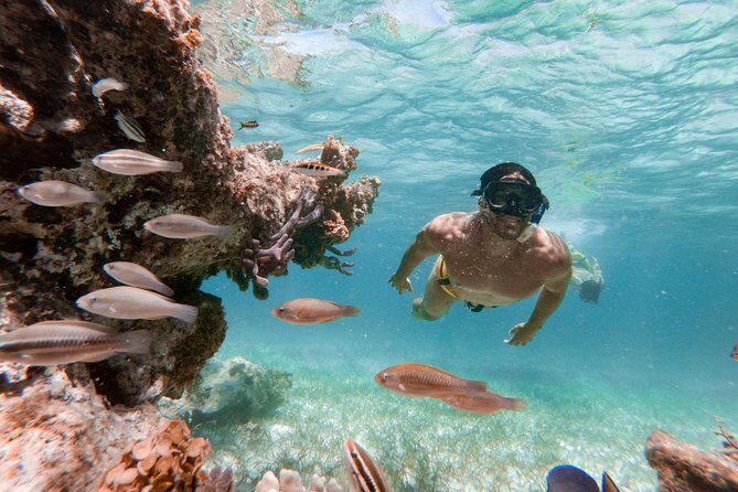 Marinarium Snorkeling Cruise from Bayahibe - FAQ