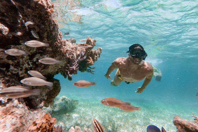 Marinarium Snorkeling Cruise from Punta Cana - Key Points