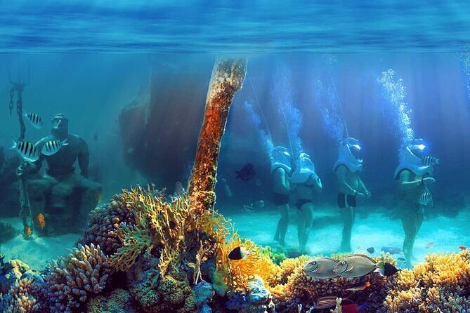 Marine Adventure Tour - Key Points