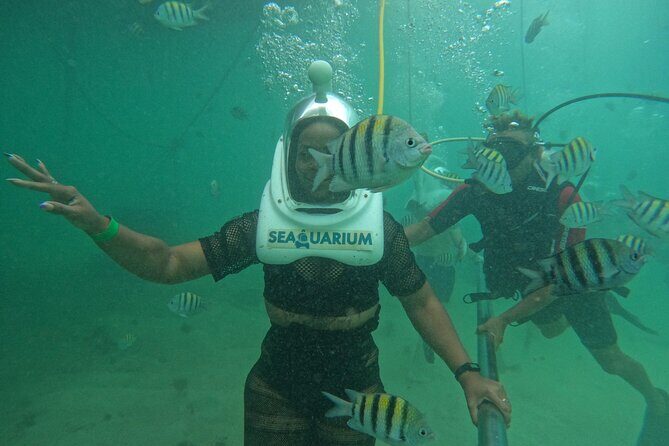 Marine Adventure Tour - FAQ