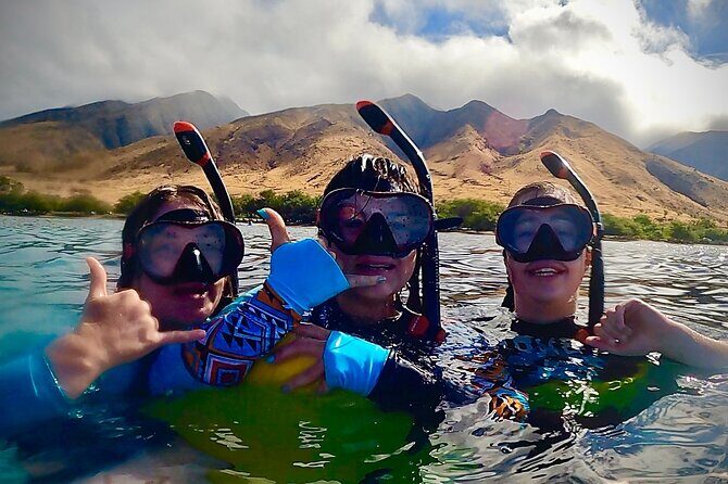 Marine Biologist Guided Snorkel Tour from Shore at Turtle Town - The Experience in Detail
