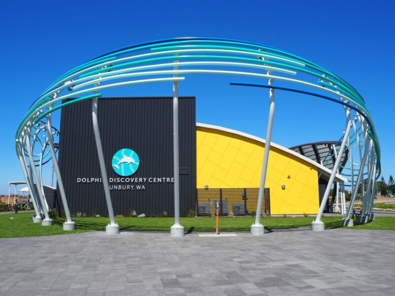 Marine Discovery Centre - Watching the 360-Degree Digital Dolphinarium