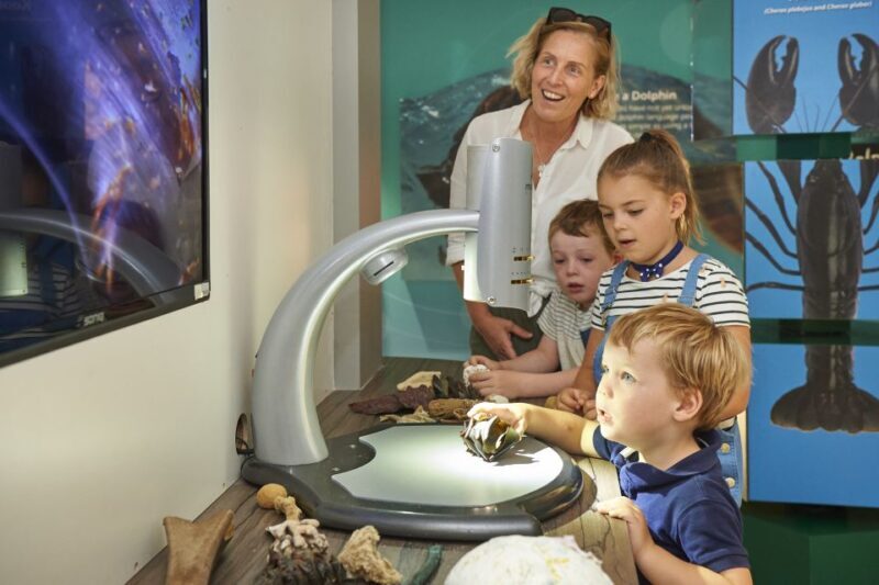 Marine Discovery Centre - Practical Information and Tips