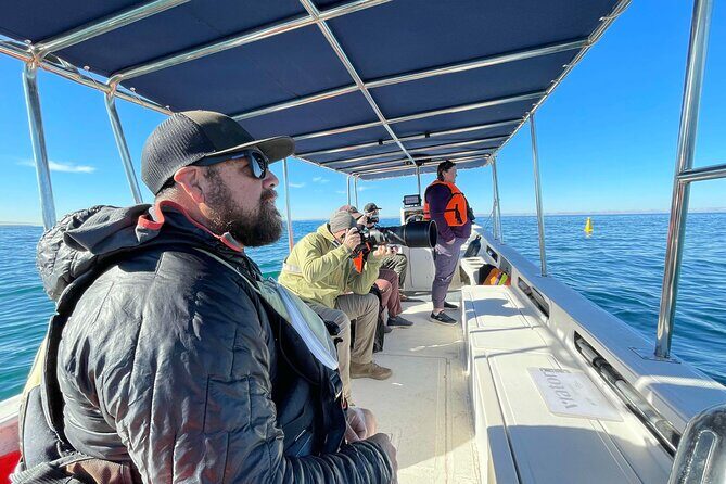 Marine Ecology Tour in La Paz Mexico - Discovering La Paz’s Marine Ecology Tour: An Authentic Encounter with Baja’s Underwater World