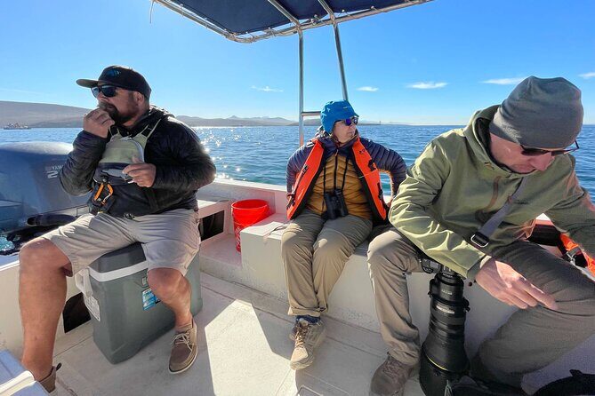 Marine Ecology Tour in La Paz Mexico - What’s Included and What to Consider
