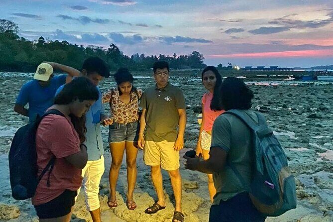 Marine Trail - An Authentic Dive into Havelock’s Marine Ecosystems
