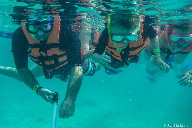 Marine Turtle Snorkeling Private Tour - The Itinerary: A Closer Look