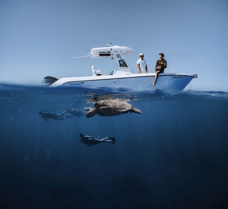 Marine Wildlife Snorkel Tour: SeaTiger Shipwreck & Sharks - FAQ