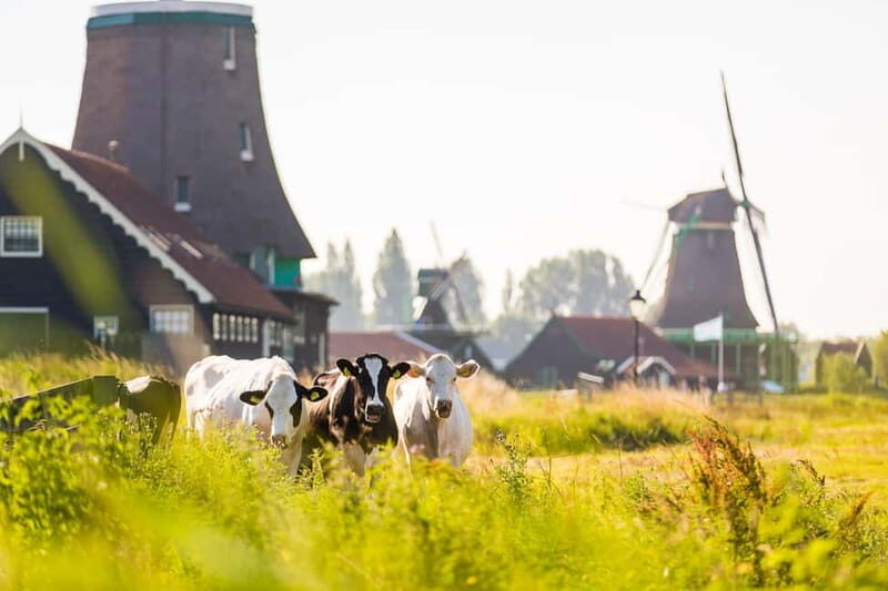 Marken, Volendam, and Edam Full-Day Tour from Amsterdam - Key Points