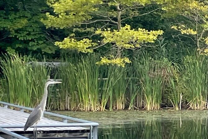 Market to Market Breakfast Tour - Who Will Love This Tour?