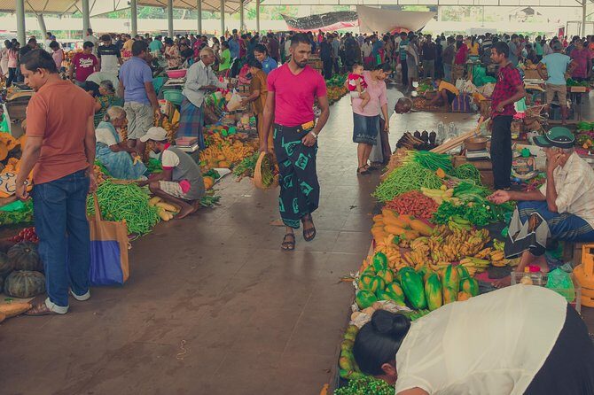 Market Tour and Hands-On Cooking Class Colombo - Real Experiences and Guest Feedback