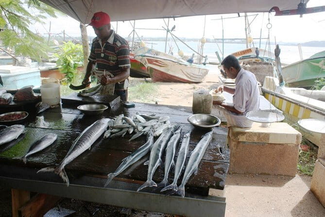 Market Tour and Sri Lankan Cooking Class inside Galle Fort - A Closer Look at the Experience
