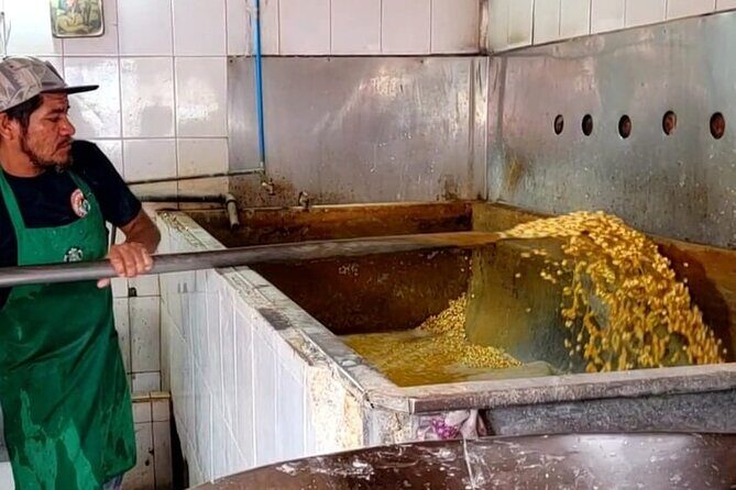 Market Visit and Mexican Cooking Class - A Deep Dive into the Experience