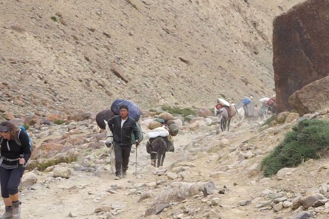 Markha Valley Trek - FAQs