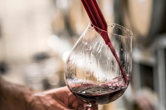 Marlborough Afternoon Wine Tour Taste Local Wines - The Experience of Tasting and Snacking