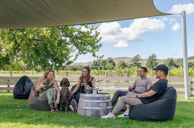 Marlborough Afternoon Wine Tour Taste Local Wines - Reviews and Authentic Feedback