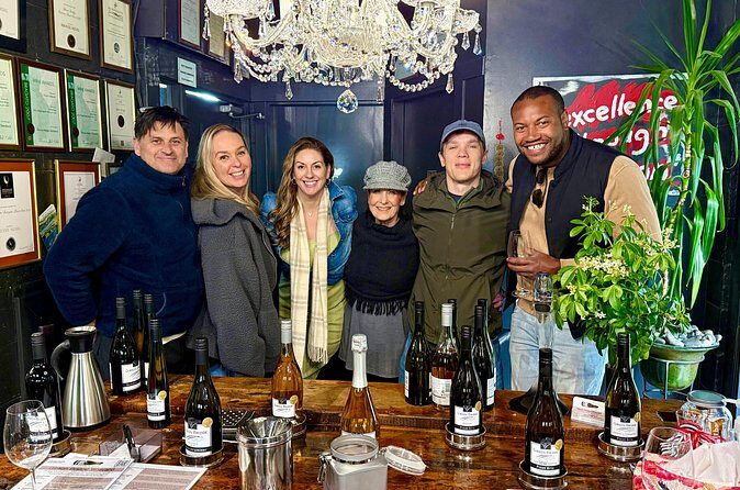 Marlborough Afternoon Wine Tour Taste Local Wines - Who Should Consider This Tour?