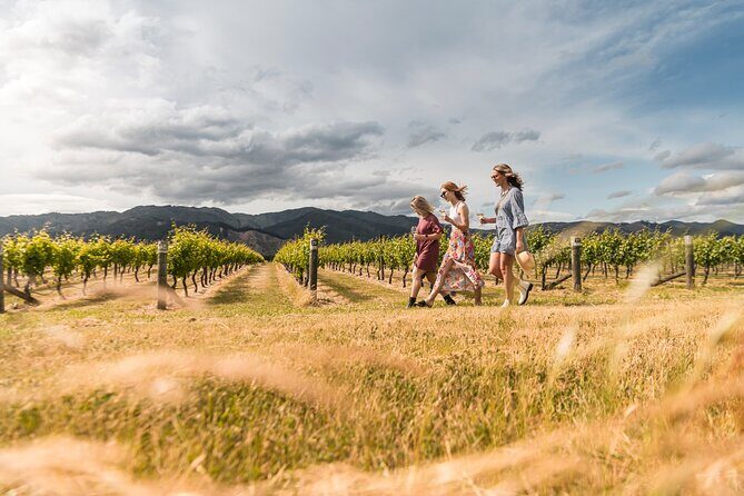 Marlborough Afternoon Wine Tour with Tastings - What to Expect During the Experience