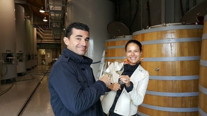 Marlborough: Full-Day Private Driving Wine Tour - Why Choose This Marlborough Wine Tour?