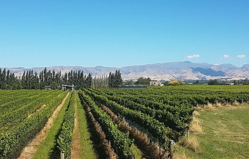 Marlborough: Full-Day Private Driving Wine Tour - Detailed Breakdown of the Itinerary and Experience