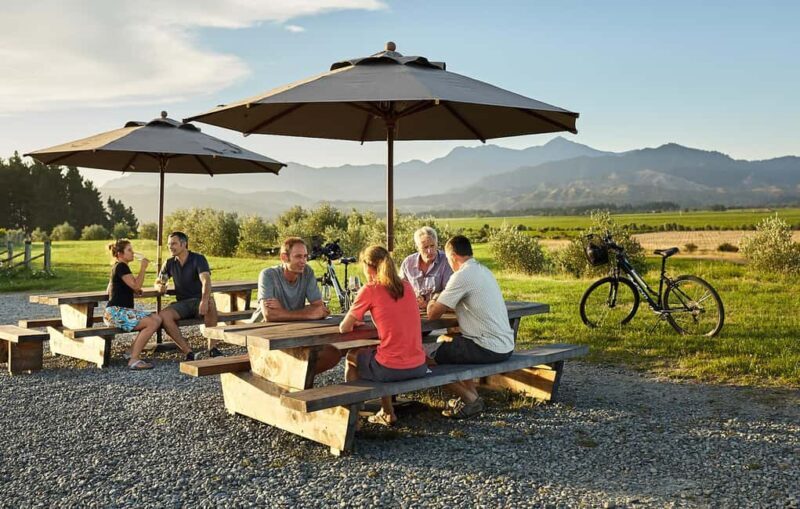 Marlborough: Full-Day Self-Guided Biking Wine Tour - The Wineries and Stops