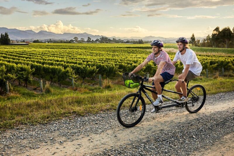 Marlborough: Full-Day Self-Guided Biking Wine Tour - The Sum Up: Who’s This Tour Perfect For?