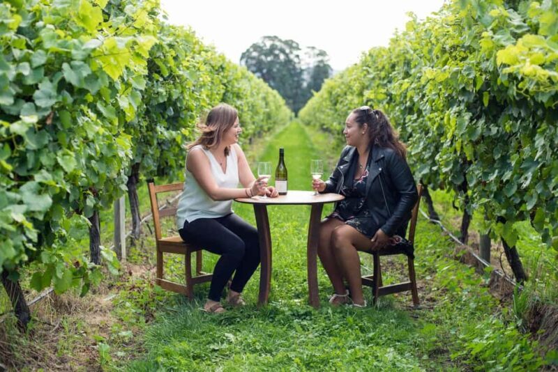 Marlborough Half Day Wine Tour From Picton - Key Points