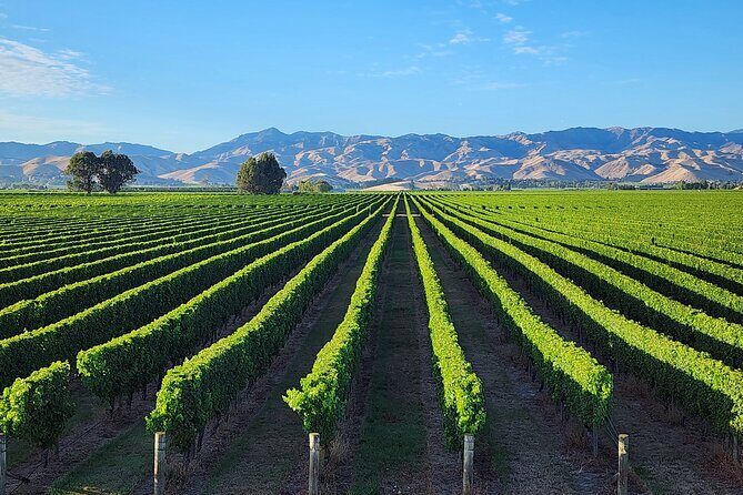 Marlborough Private Boutique Wine Tour - Itinerary Breakdown: What to Expect at Each Stop