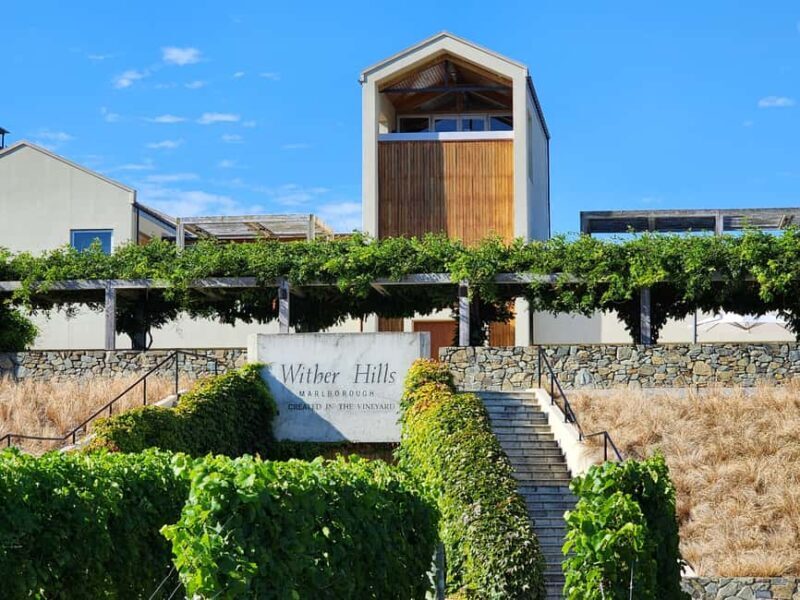 Marlborough Private Classic Wine Tour - Key Points
