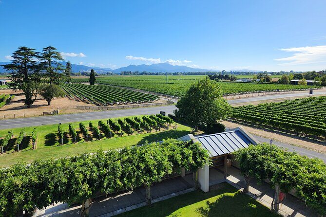 Marlborough Private Classic Wine Tour - Detailed Breakdown of the Itinerary