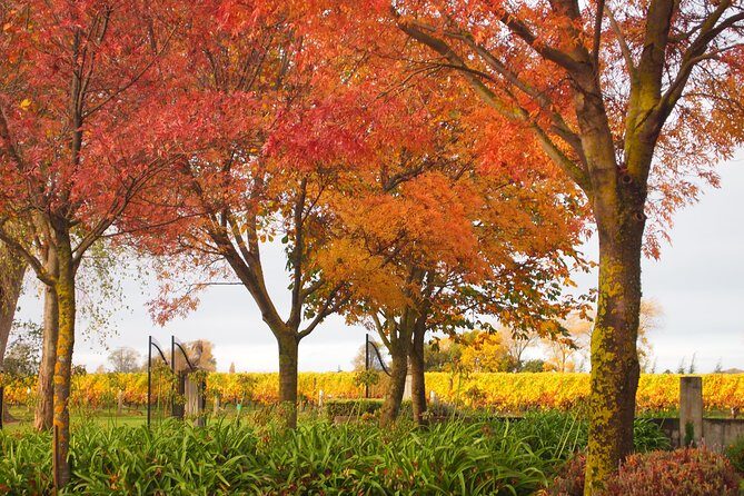 Marlborough Private Classic Wine Tour - FAQs