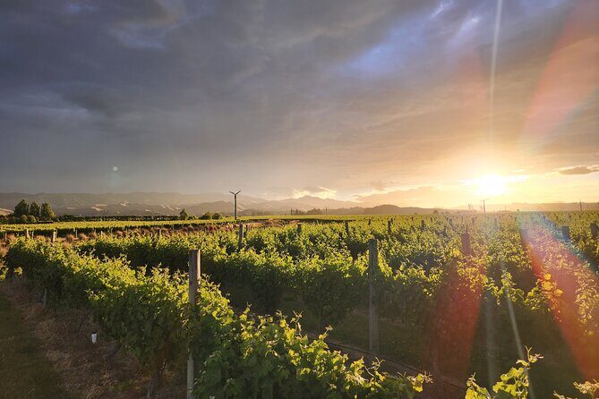 Marlborough Private Organic Wine Tour - FAQ