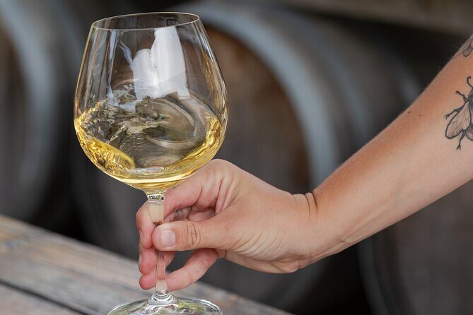 Marlborough Sheep Station Tour with Wine Tasting and Lunch - Final Thoughts