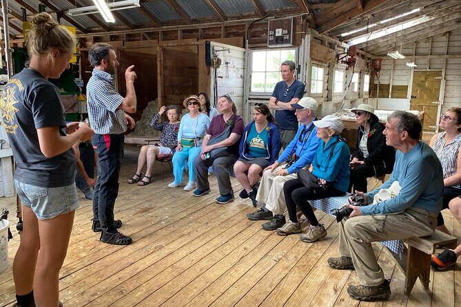 Marlborough Sheep Station Tour with Wine Tasting and Lunch - FAQ