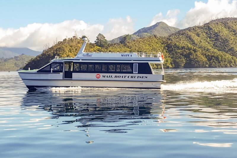 Marlborough Sounds and Ship Cove Cruise from Picton - Authentic Experiences & Guest Feedback